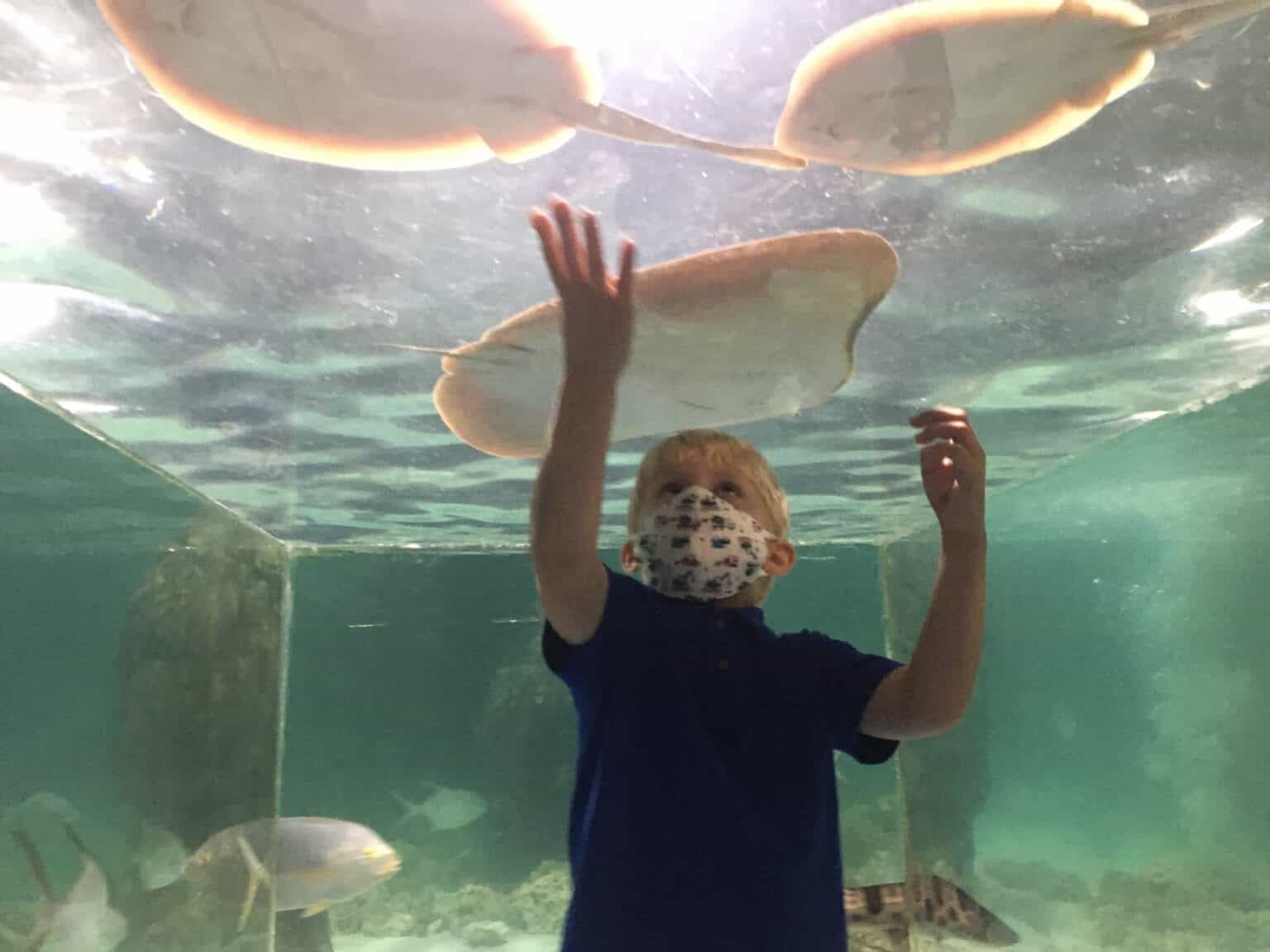 Spring Break Trips for Richmond Families - Enjoying RVA and all it has ... Spring Break Trips for Richmond Families - Enjoying RVA and all it has ...