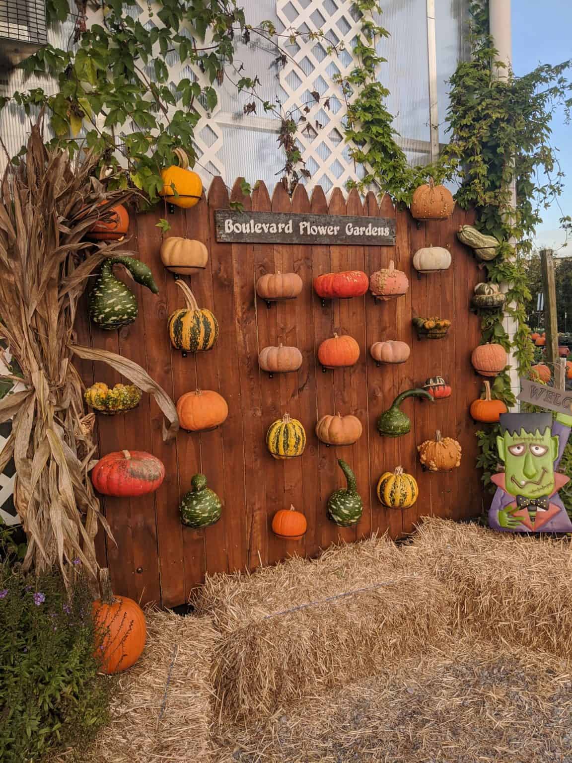 Boulevard Flower Gardens: Pumpkin patch, outdoor fun, FREE admission ...