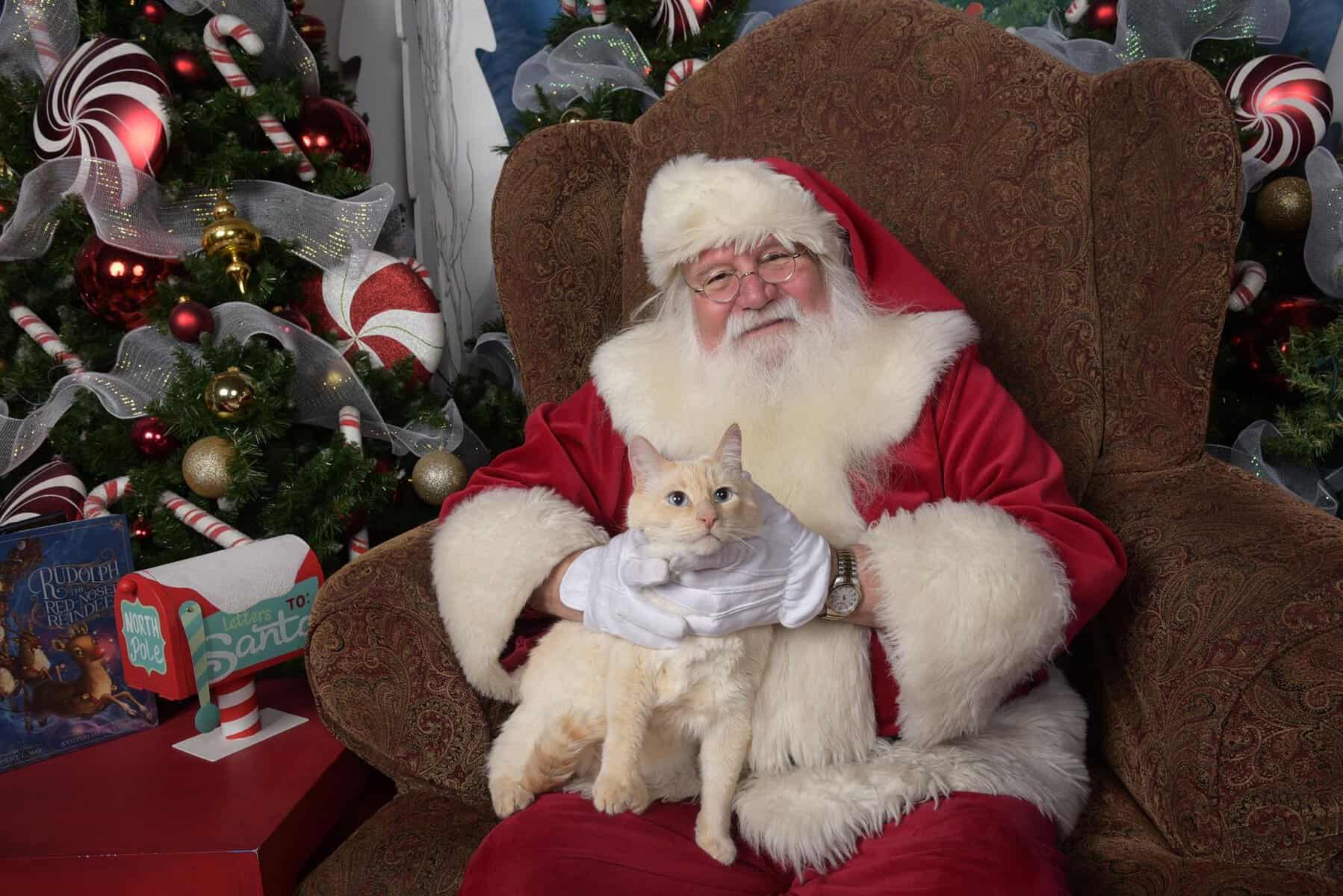 Places to take photos with Santa in the Richmond area - Enjoying RVA ...