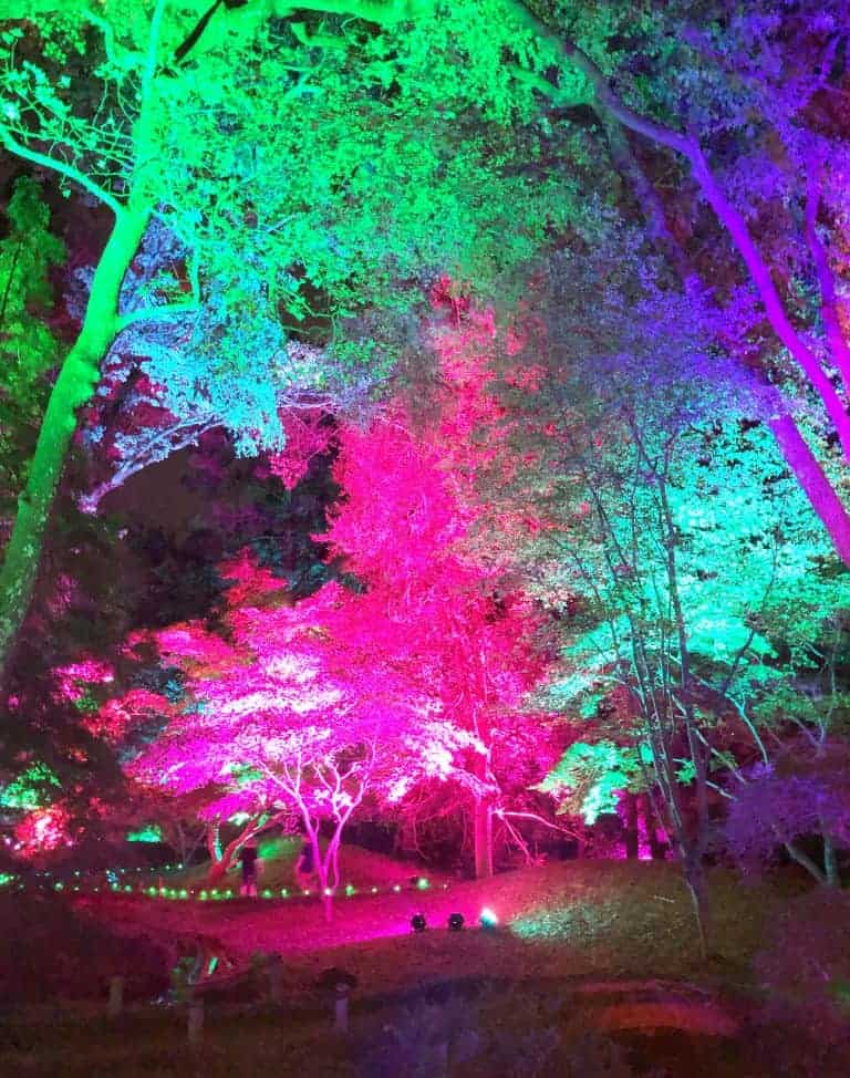 Maymont Expands Garden Glow presented by Kroger to 22 Nights, Including ...