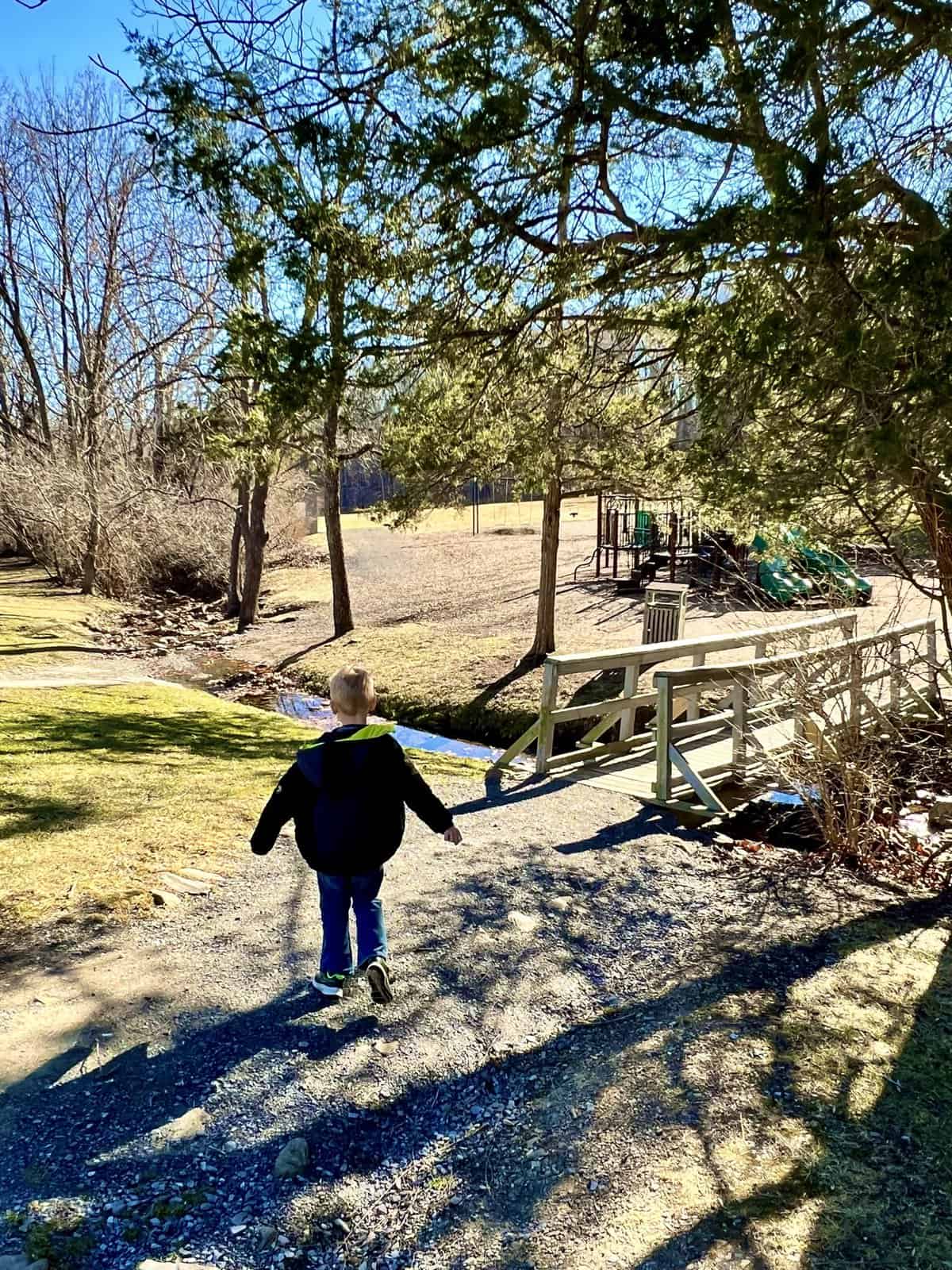 Massanutten Resort: family-fun meets one of a kind adventure ...