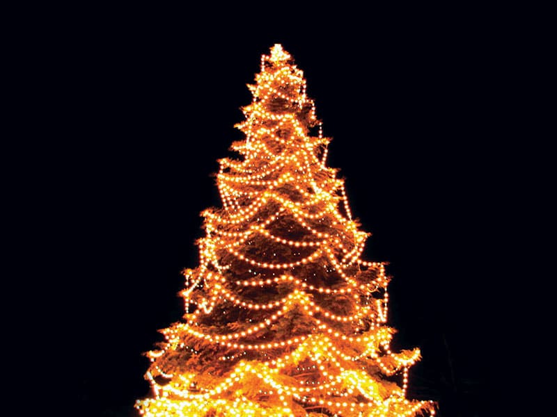 FREE FAMILY-FRIENDLY EVENT - 25TH ANNUAL TREE LIGHTING - Enjoying RVA ...