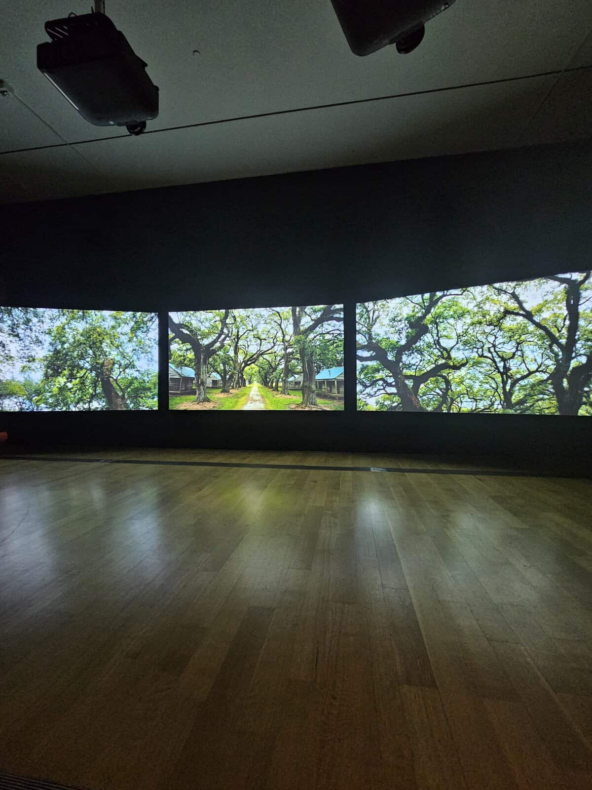 A Powerful Journey through Poignant Visuals at the VMFA - Enjoying RVA ...