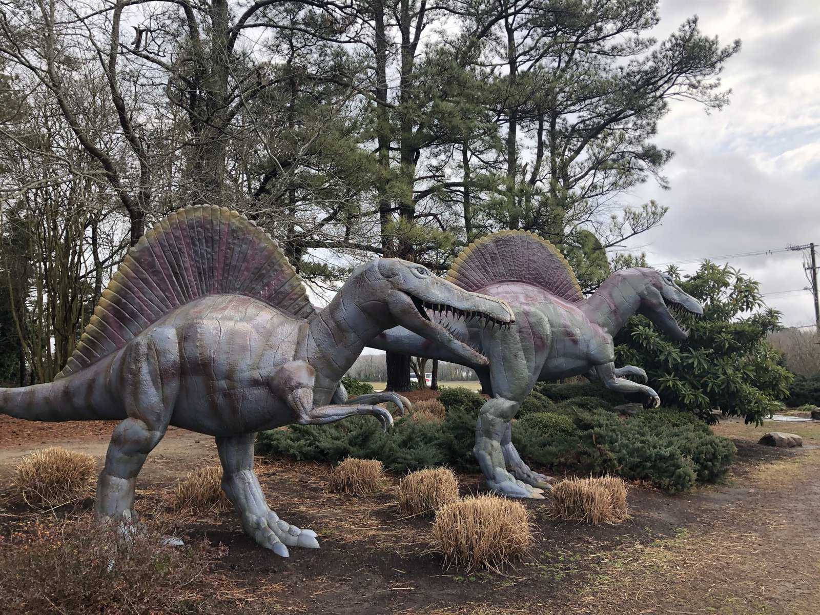 Jerassic park - Enjoying RVA and all it has to offer! Jerassic park - Enjoying RVA and all it has to offer!